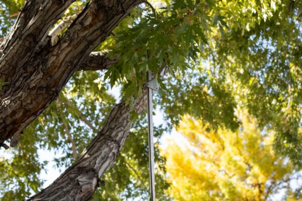 Grapplers Inc. | The Best Trash Pickup & Reaching Tool in the USA